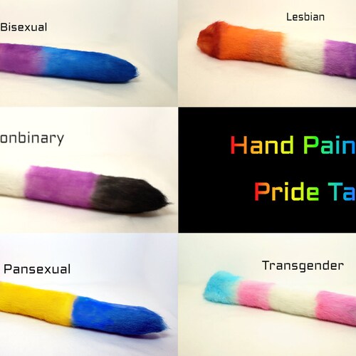 Hand Painted Pride Flag Tails - Etsy
