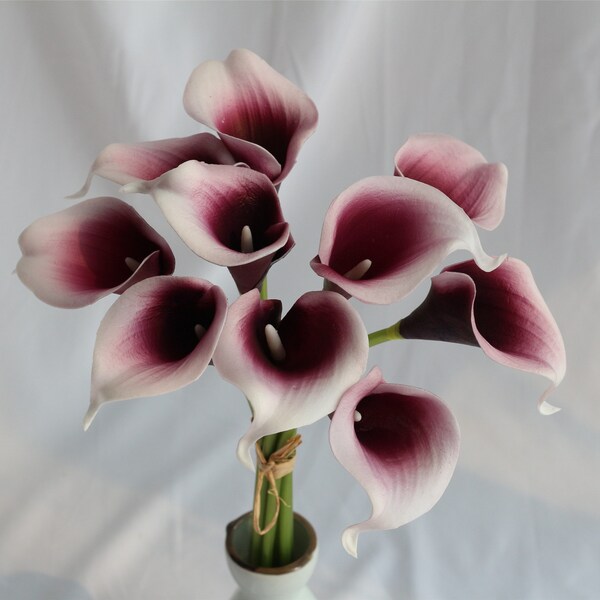 Plum Calla Lilies - Etsy