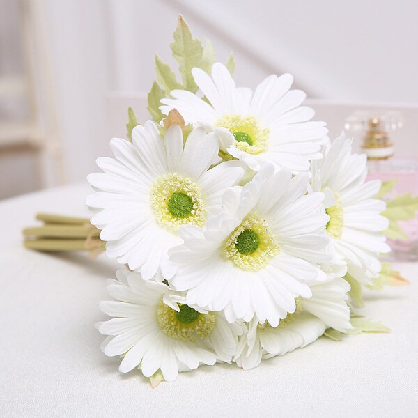 White Gerbera Daisy - Etsy