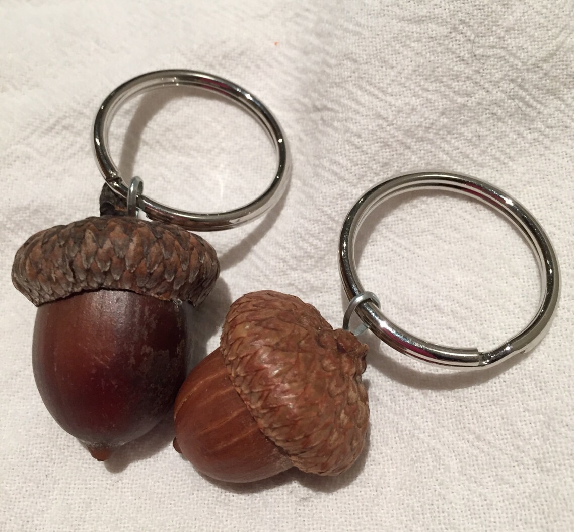 Acorn Key Ring - Etsy