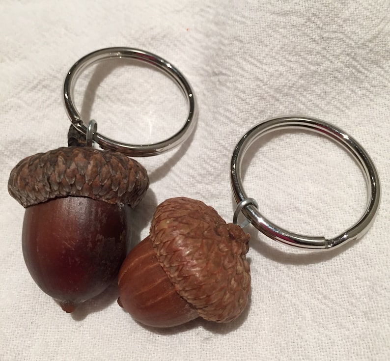 Acorn Key Ring - Etsy