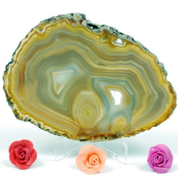 Large Agate Slice - Etsy