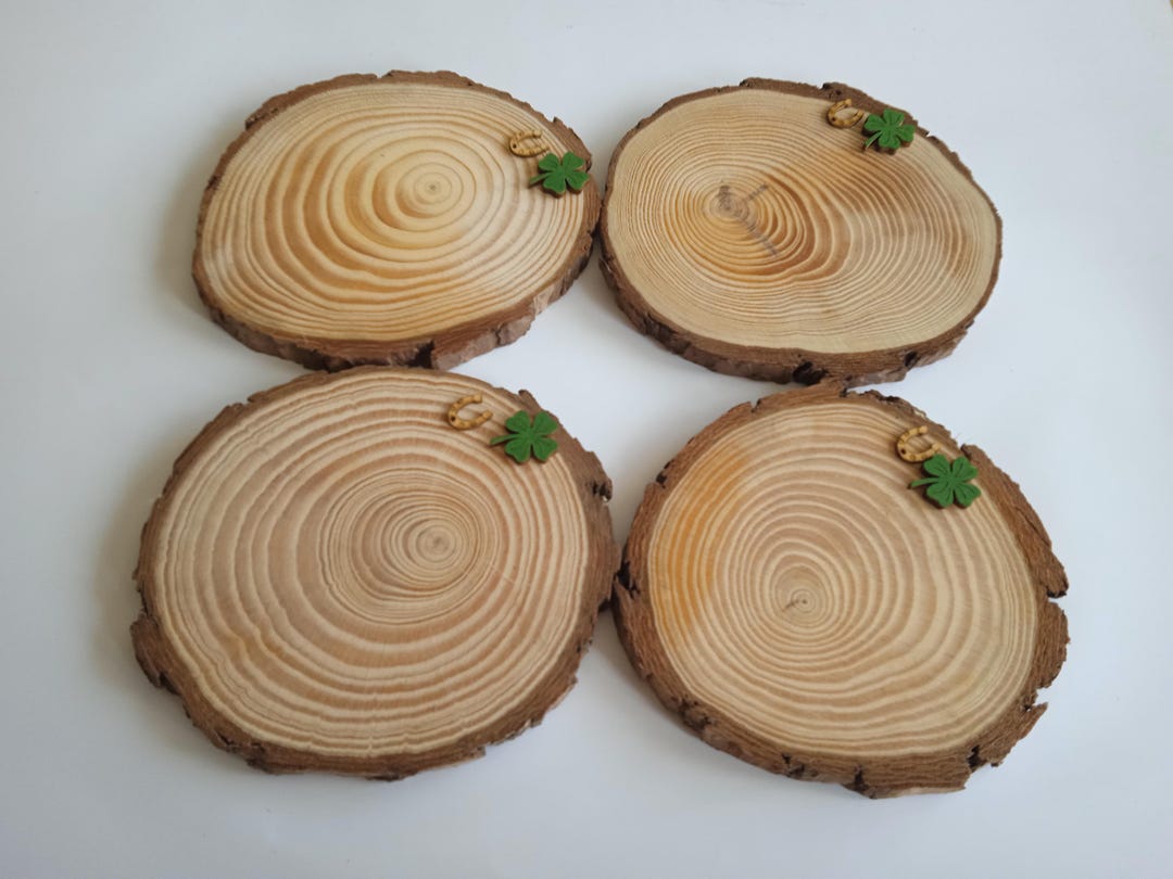 Large Set of 4 Tree Wood Slice Coasters Treated Bark Natural Shabby ...