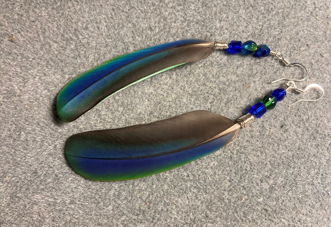 Very Rare Irridescent Blue and Green Pionus Parrot Feather Earrings ...