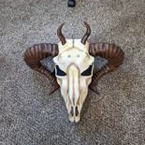 Goat Mask - Etsy