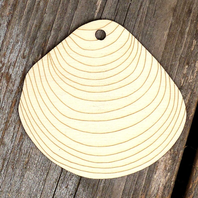 10x Wooden Sea Shell Elegant Dosinia Craft Shapes 3mm Plywood - Etsy