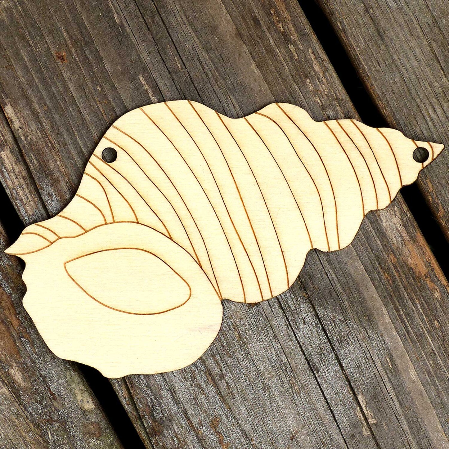 10x Wooden Sea Shell Nutmeg Craft Shapes 3mm Plywood - Etsy