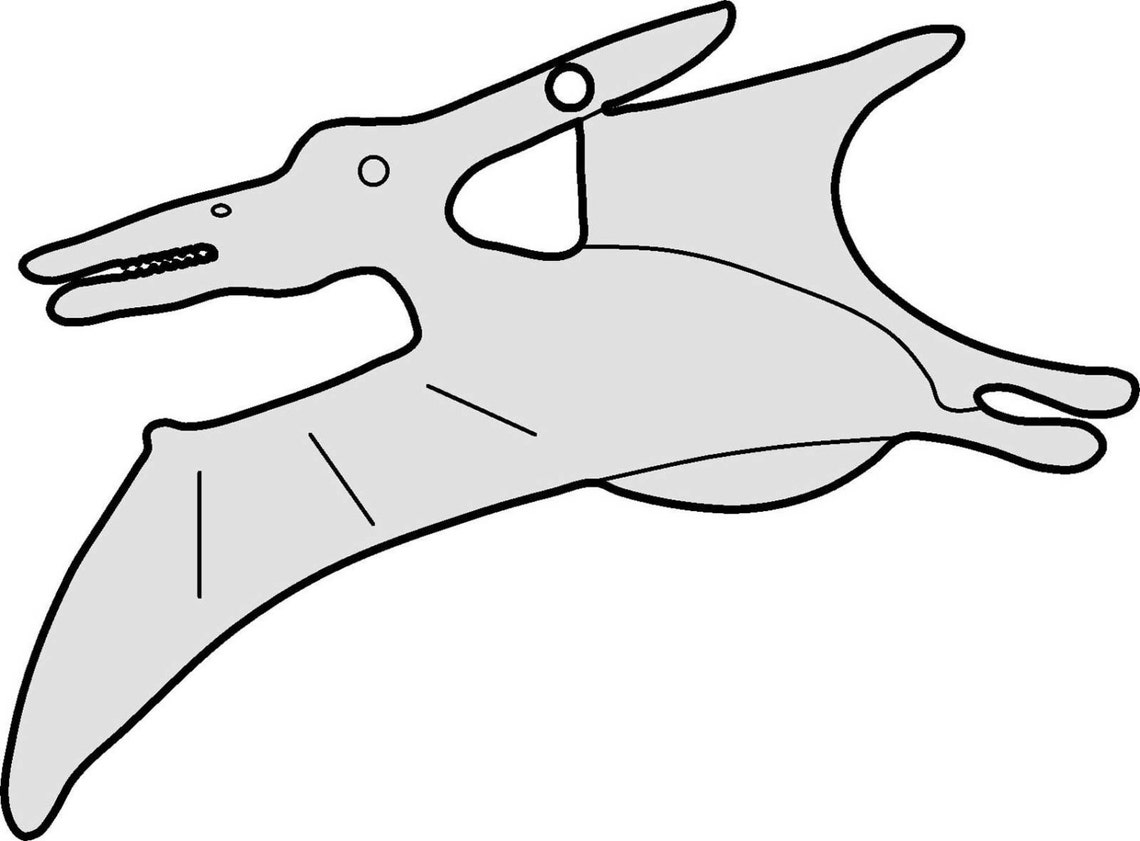 10x Wooden Pterodactyl Dinosaur Craft Shapes 3mm Plywood - Etsy