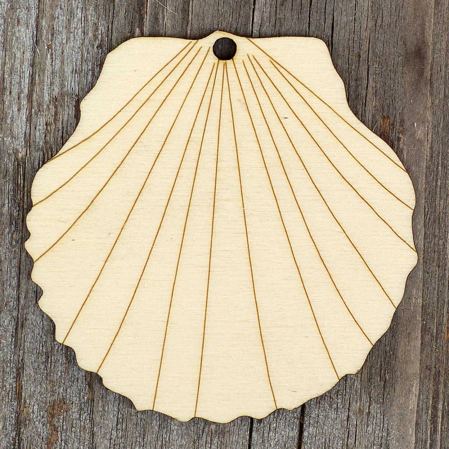 10x Wooden Scallop Shell Craft Shapes 3mm Plywood - Etsy