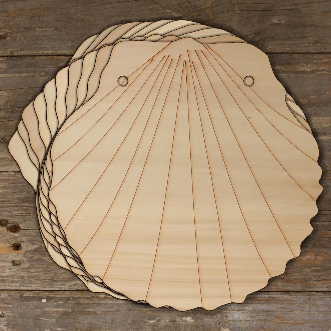 10x Wooden Scallop Shell Craft Shapes 3mm Plywood Sealife Seaside - Etsy