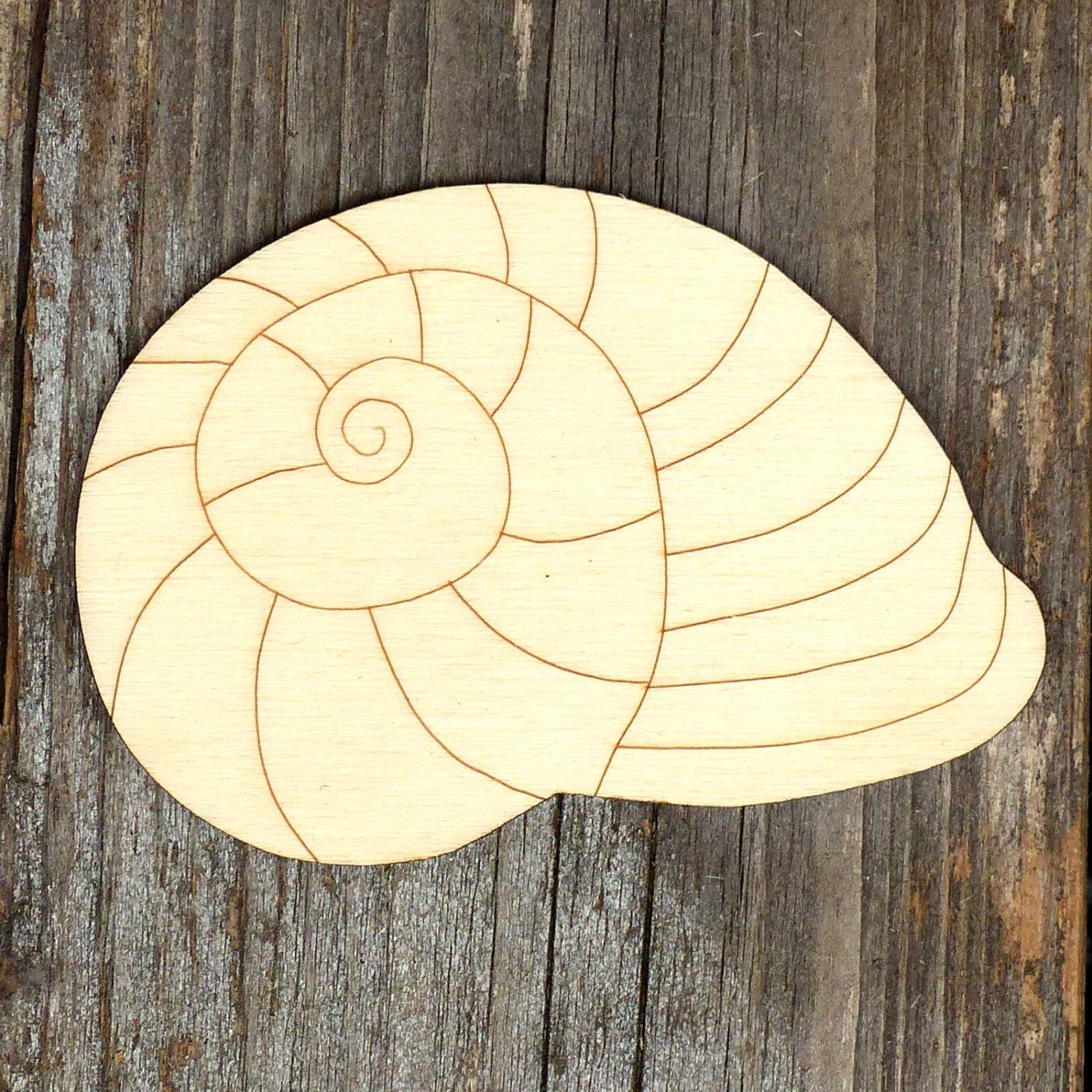 10x Wooden Sea Shell Snail Craft Shapes 3mm Plywood - Etsy