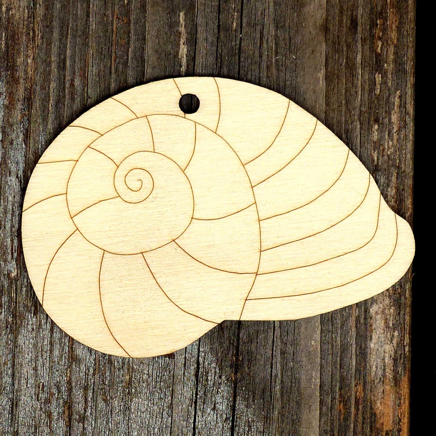 10x Wooden Sea Shell Snail Craft Shapes 3mm Plywood | Etsy