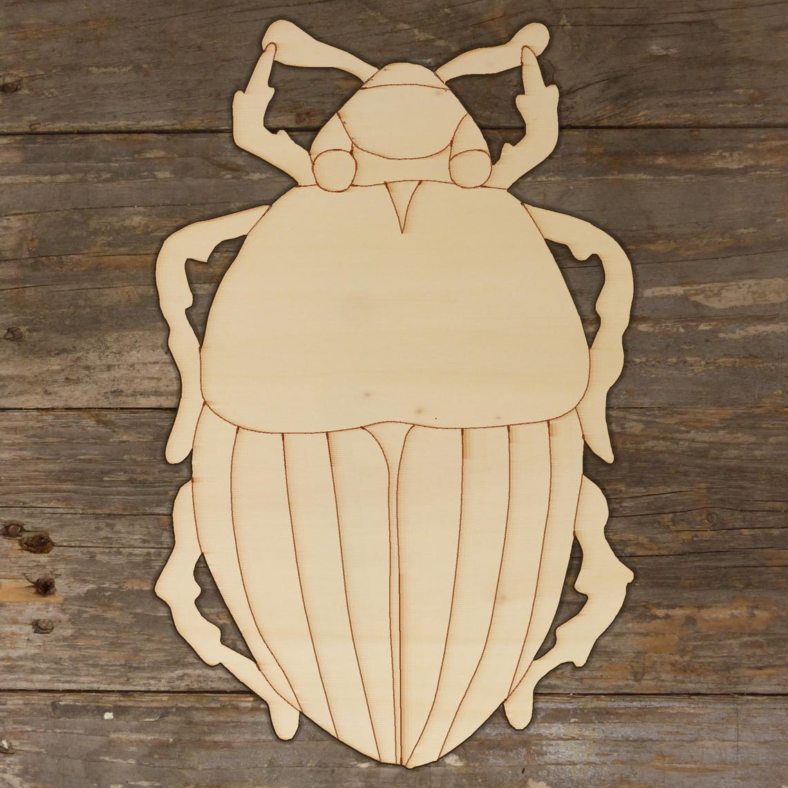 10x Wooden Simple Generic Beetles Craft Shapes 3mm Plywood Insect and ...