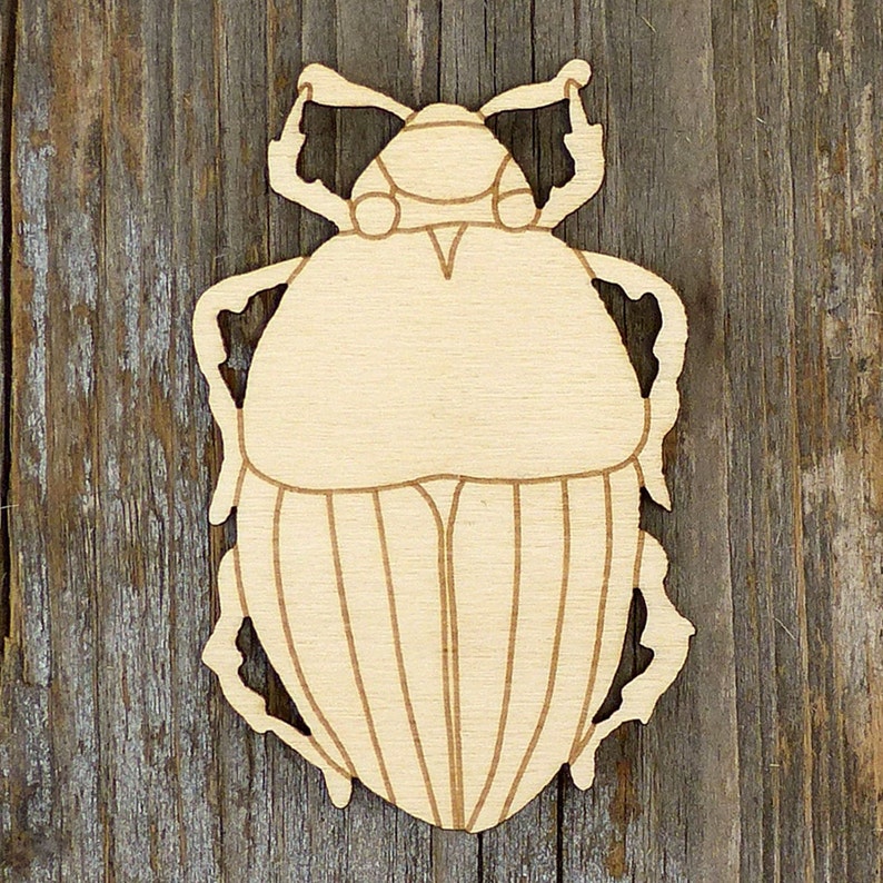 10x Wooden Simple Generic Beetles Craft Shapes 3mm Plywood - Etsy UK