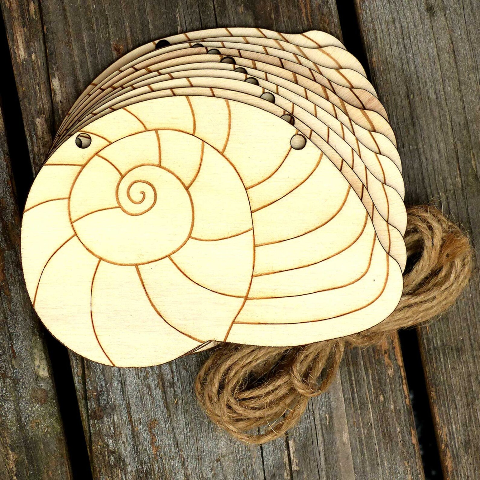 10x Wooden Sea Shell Snail Craft Shapes 3mm Plywood | Etsy