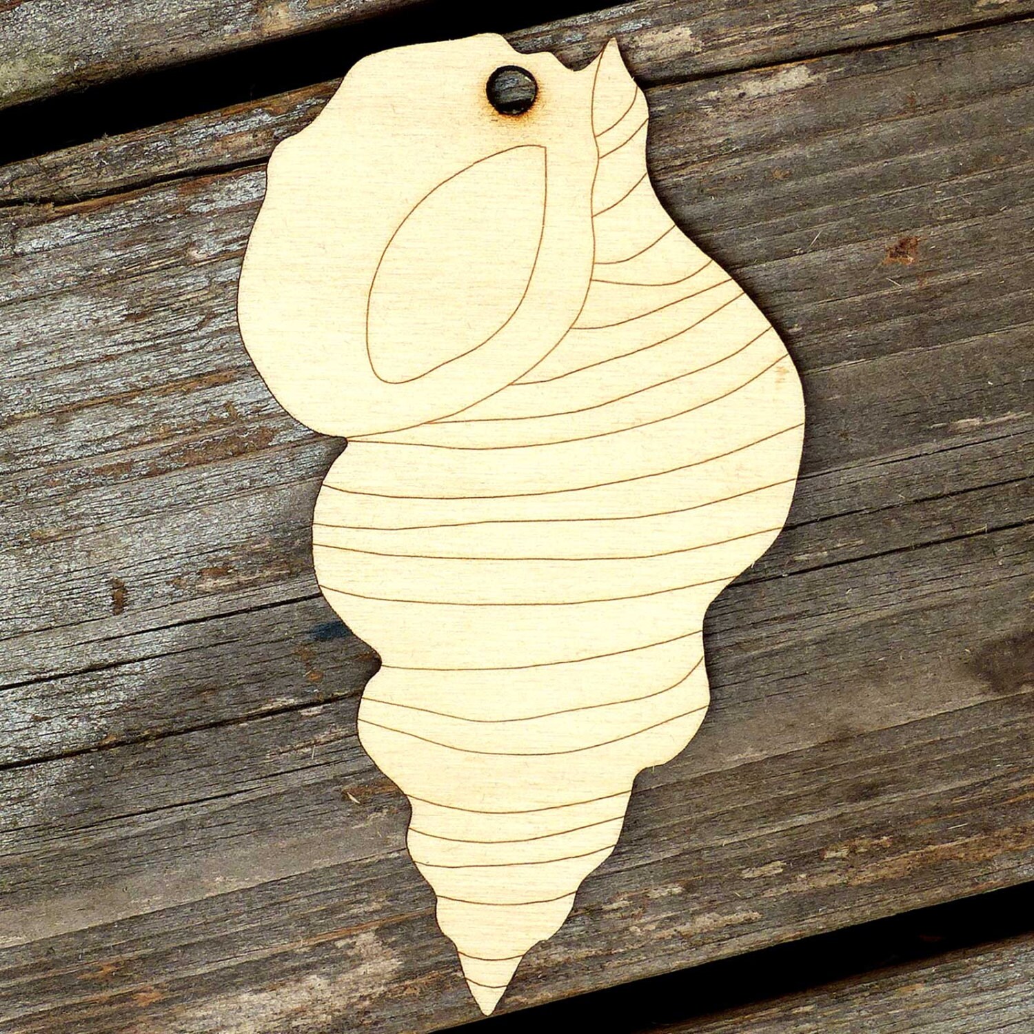 10x Wooden Sea Shell Nutmeg Craft Shapes 3mm Plywood - Etsy