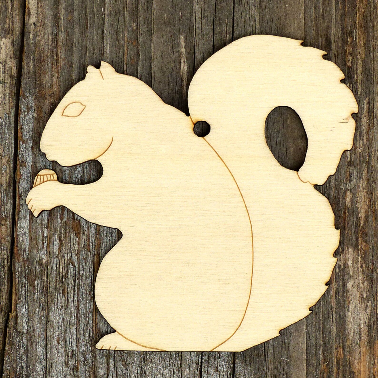 10x Wooden Squirrel Eating Nut Craft Shapes 3mm Plywood - Etsy