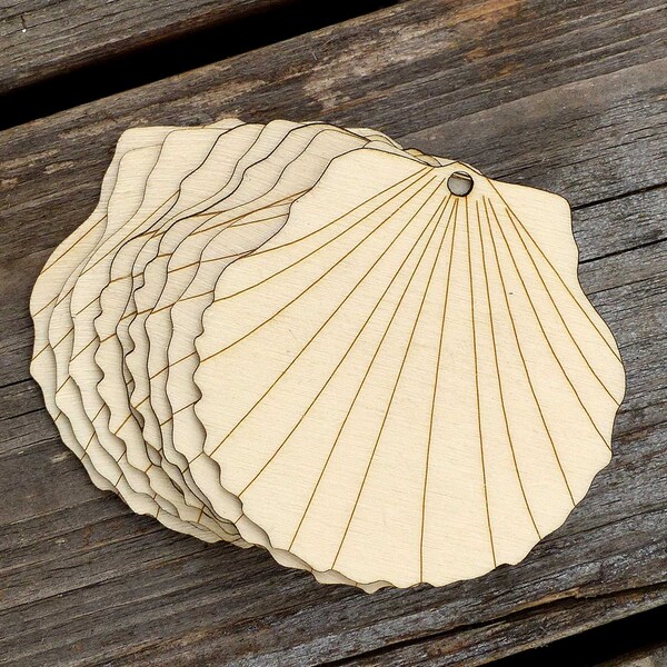 Scallop Shell - Etsy