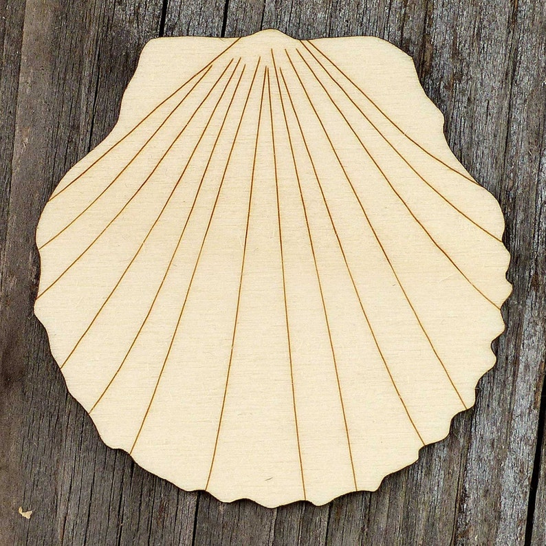 10x Wooden Scallop Shell Craft Shapes 3mm Plywood | Etsy