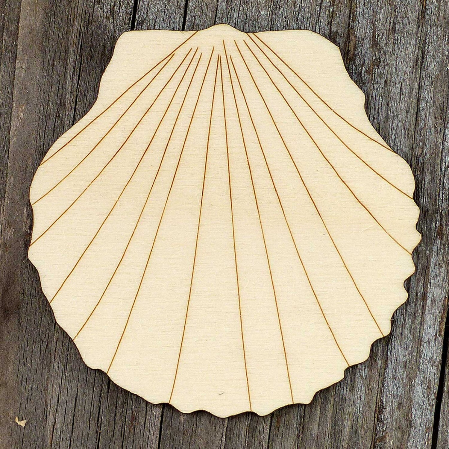 10x Wooden Scallop Shell Craft Shapes 3mm Plywood - Etsy