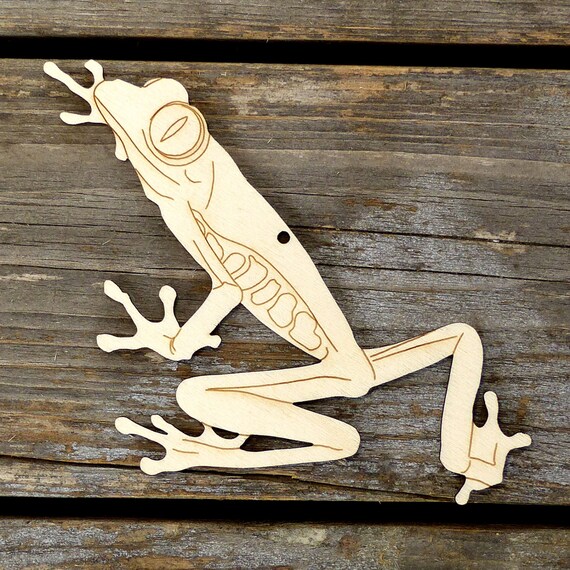 Red Eyed Tree Frog Craft