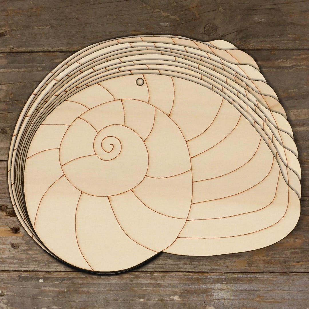 10x Wooden Sea Shell Snail Craft Shapes 3mm Plywood Seaside Sealife ...