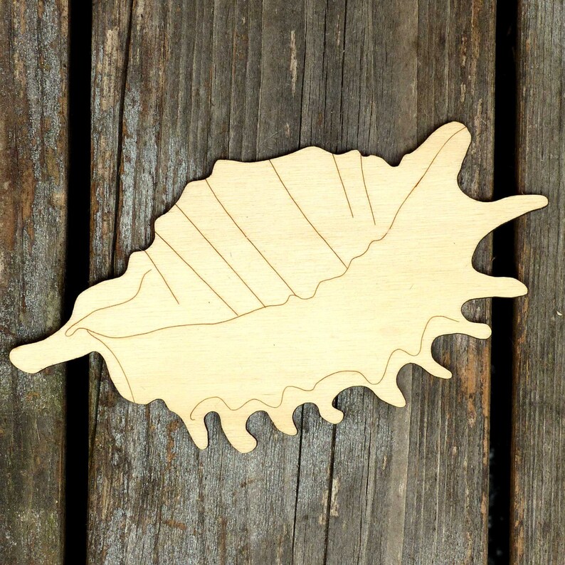 10x Wooden Sea Shell Murex Craft Shapes 3mm Plywood - Etsy