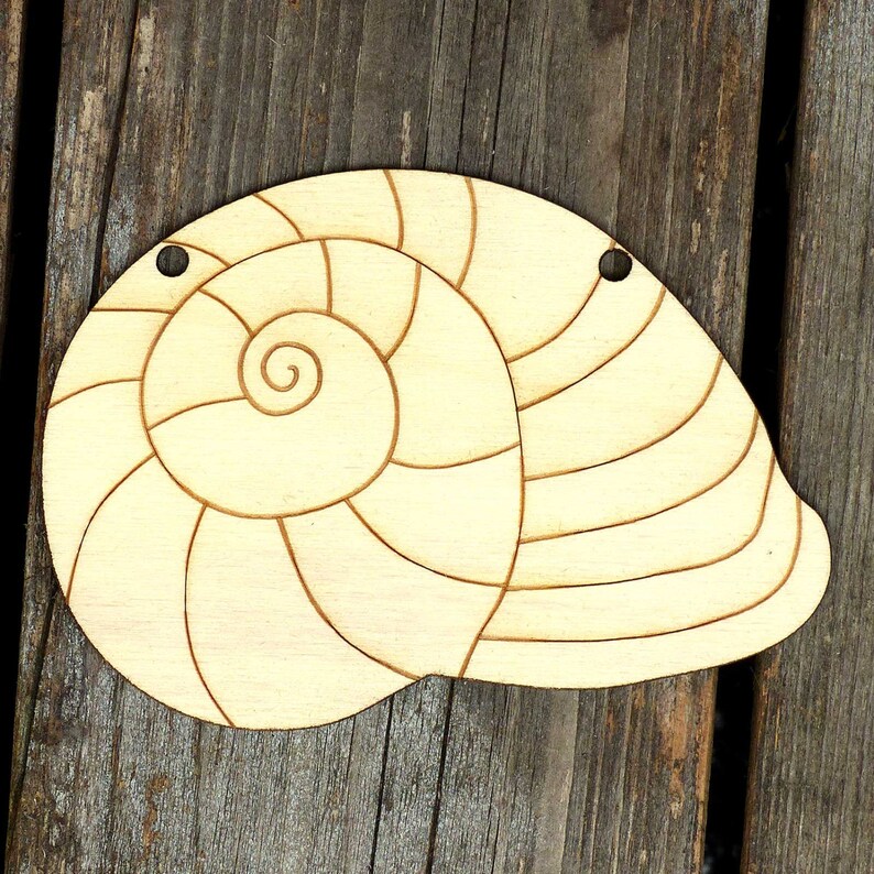10x Wooden Sea Shell Snail Craft Shapes 3mm Plywood | Etsy
