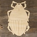 10x Wooden Simple Generic Beetles Craft Shapes 3mm Plywood Insect and ...