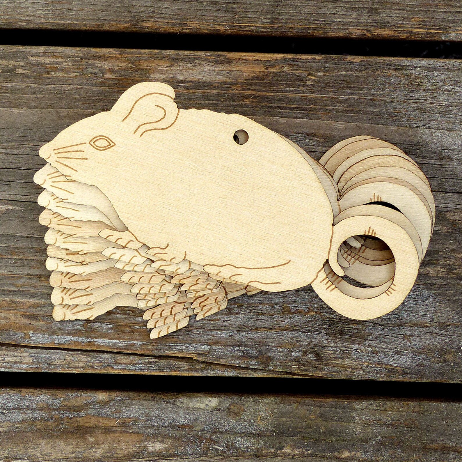 10x Wooden Mouse Curly Tail Craft Shape 3mm Ply Animals - Etsy