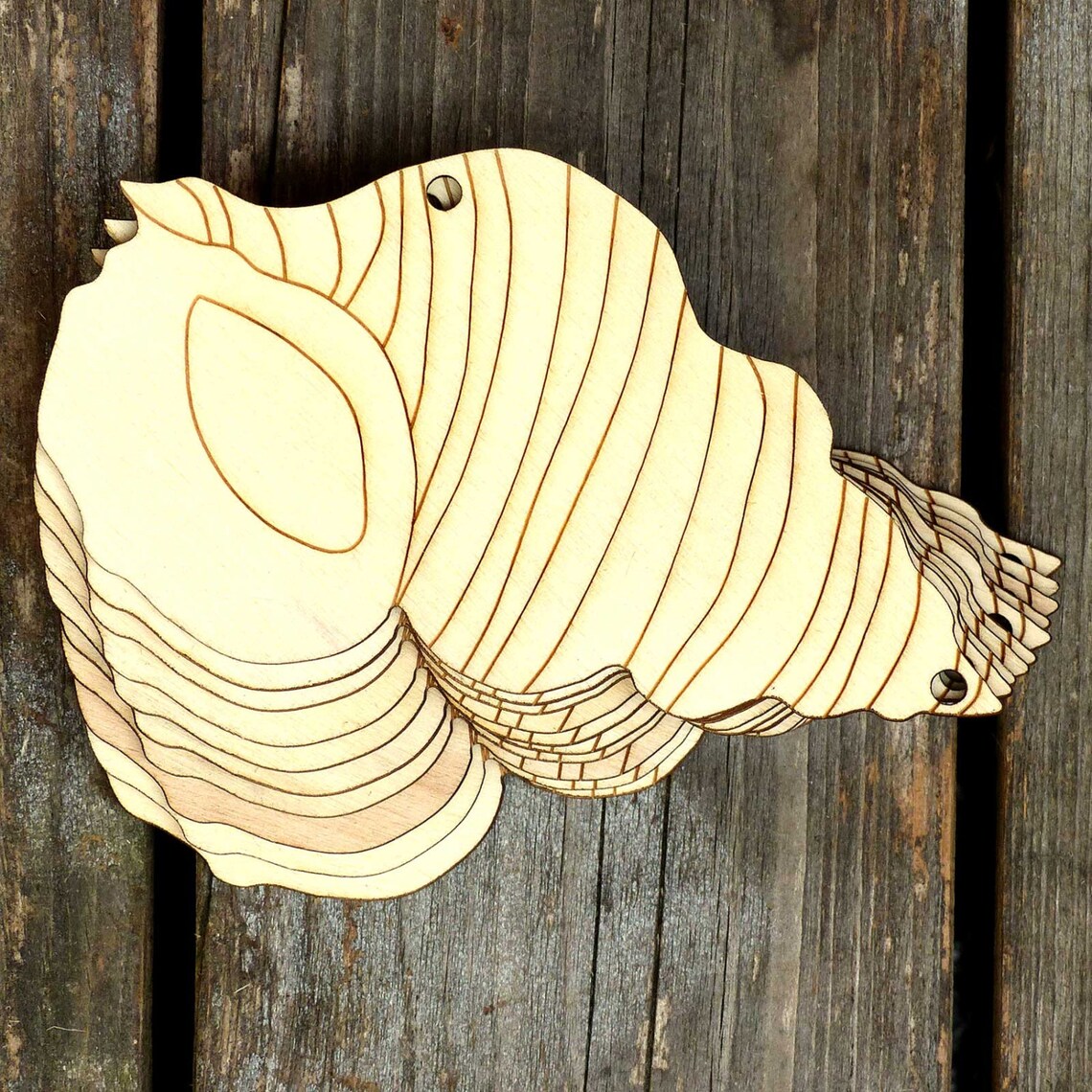 10x Wooden Sea Shell Nutmeg Craft Shapes 3mm Plywood - Etsy