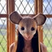 Field Mouse Mask, Masquerade Party Mask, Needle Felted Mask, Cosplay ...