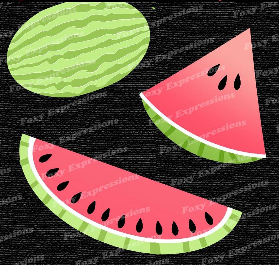 Watermelon Paper in Shades of Green and Pink With Fun Designs - Etsy