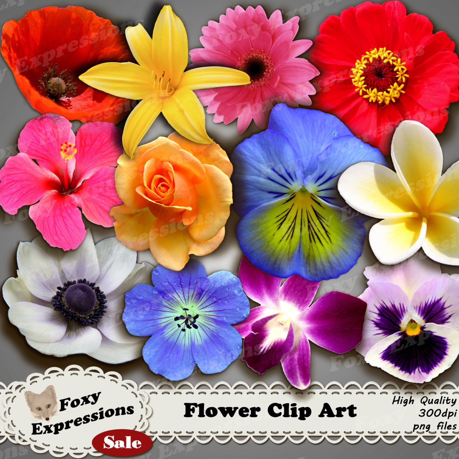 Flower Clip Art Pack Comes With 12 Flowers in Shades of Red, Yellow ...