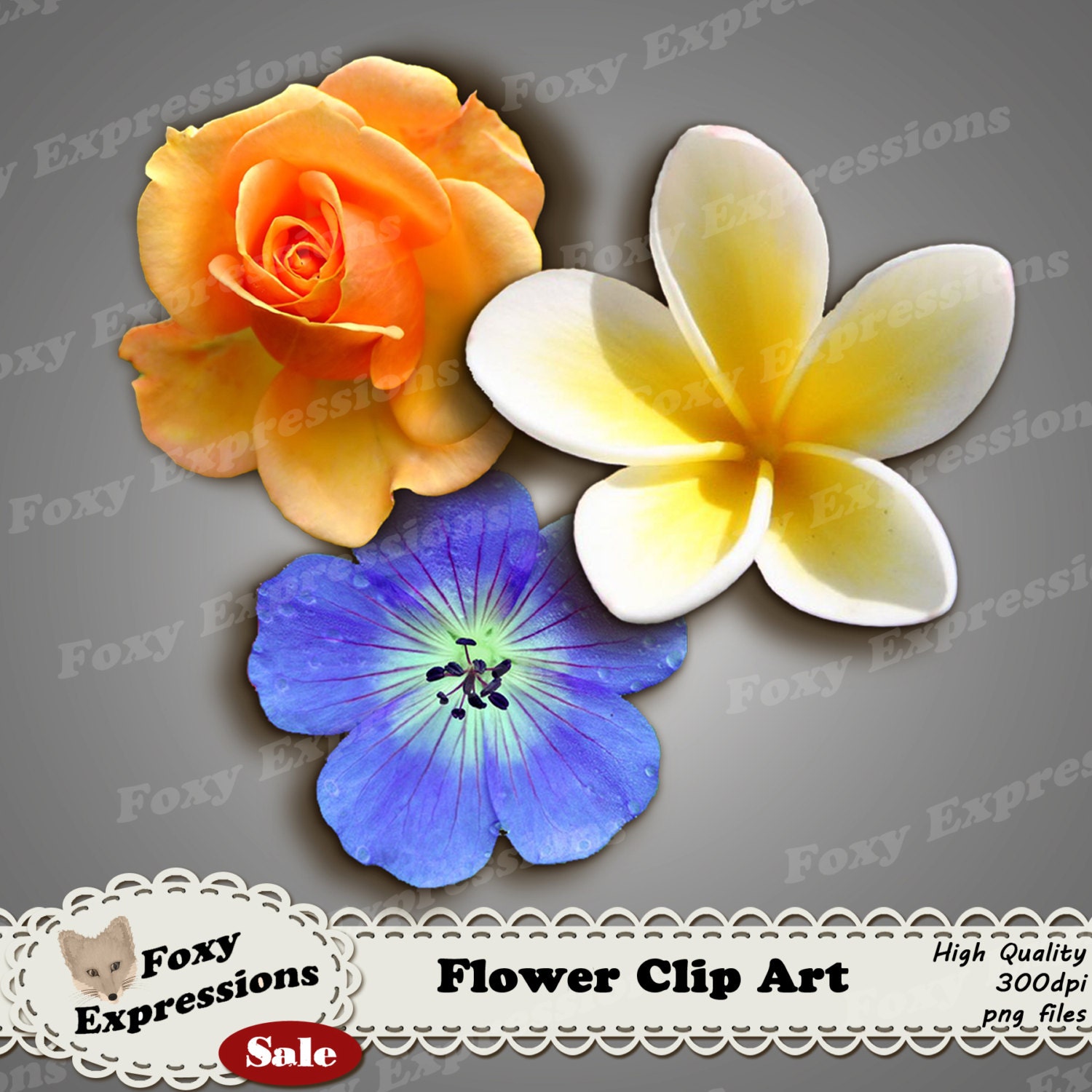 Flower Clip Art Pack Comes With 12 Flowers in Shades of Red, Yellow ...