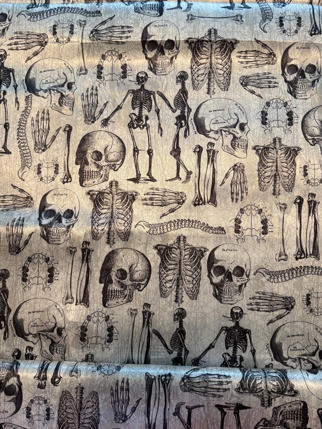 Anatomy Fabric by the Yard 100% Satin Polyester Clothing Crafts Home ...
