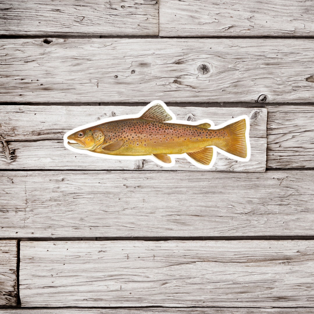 Brown Trout Sticker, Trout Sticker, Fish Sticker, Waterproof Sticker ...