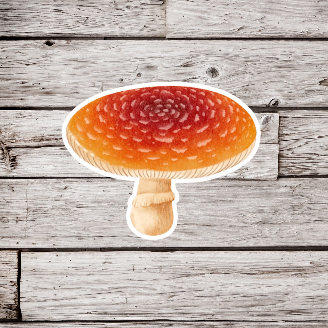 Mushroom Sticker, Fungus Sticker, Fungi Sticker, Waterproof Sticker ...