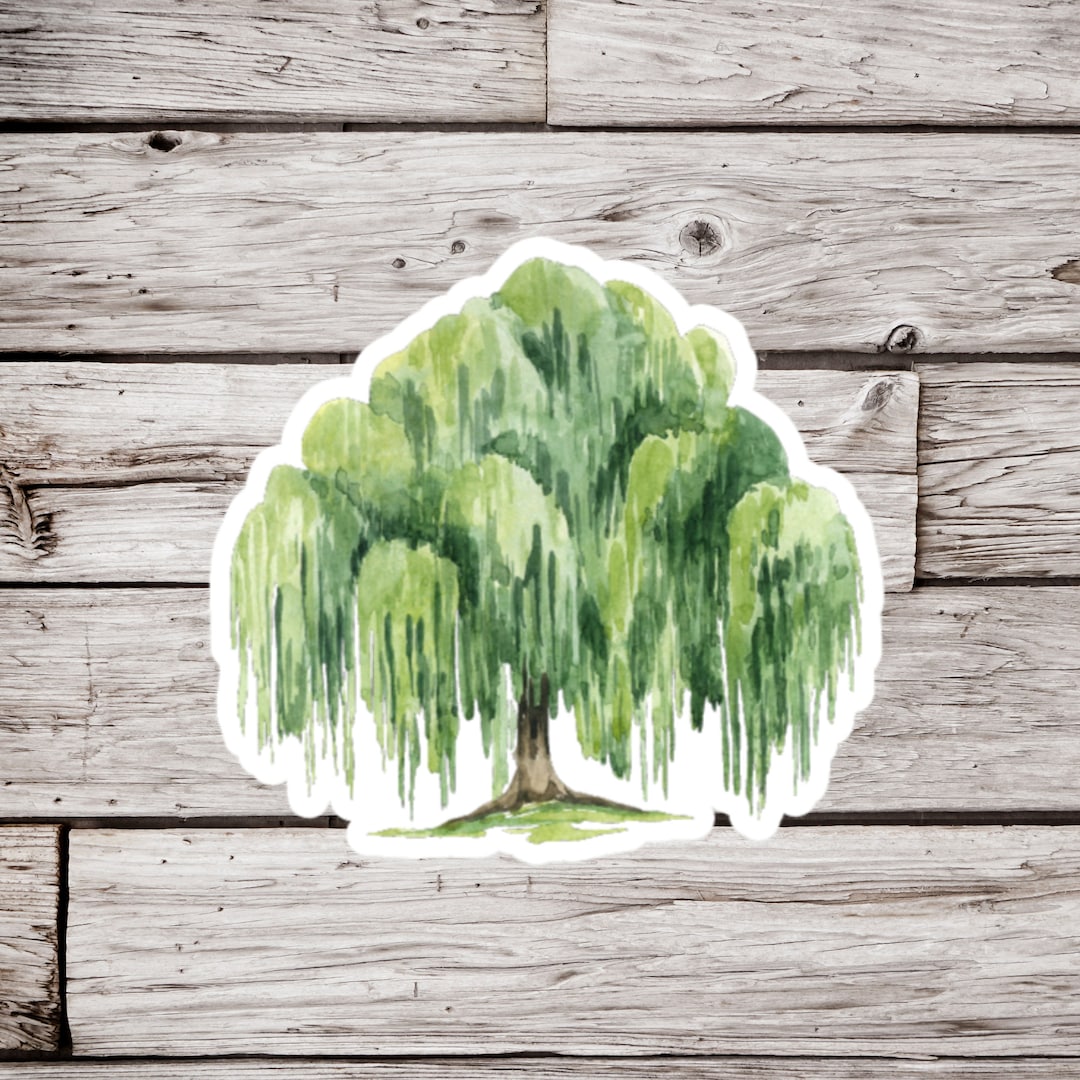 Willow Tree Sticker or Magnet, Willow Tree Sticker, Willow Magnet, Tree ...