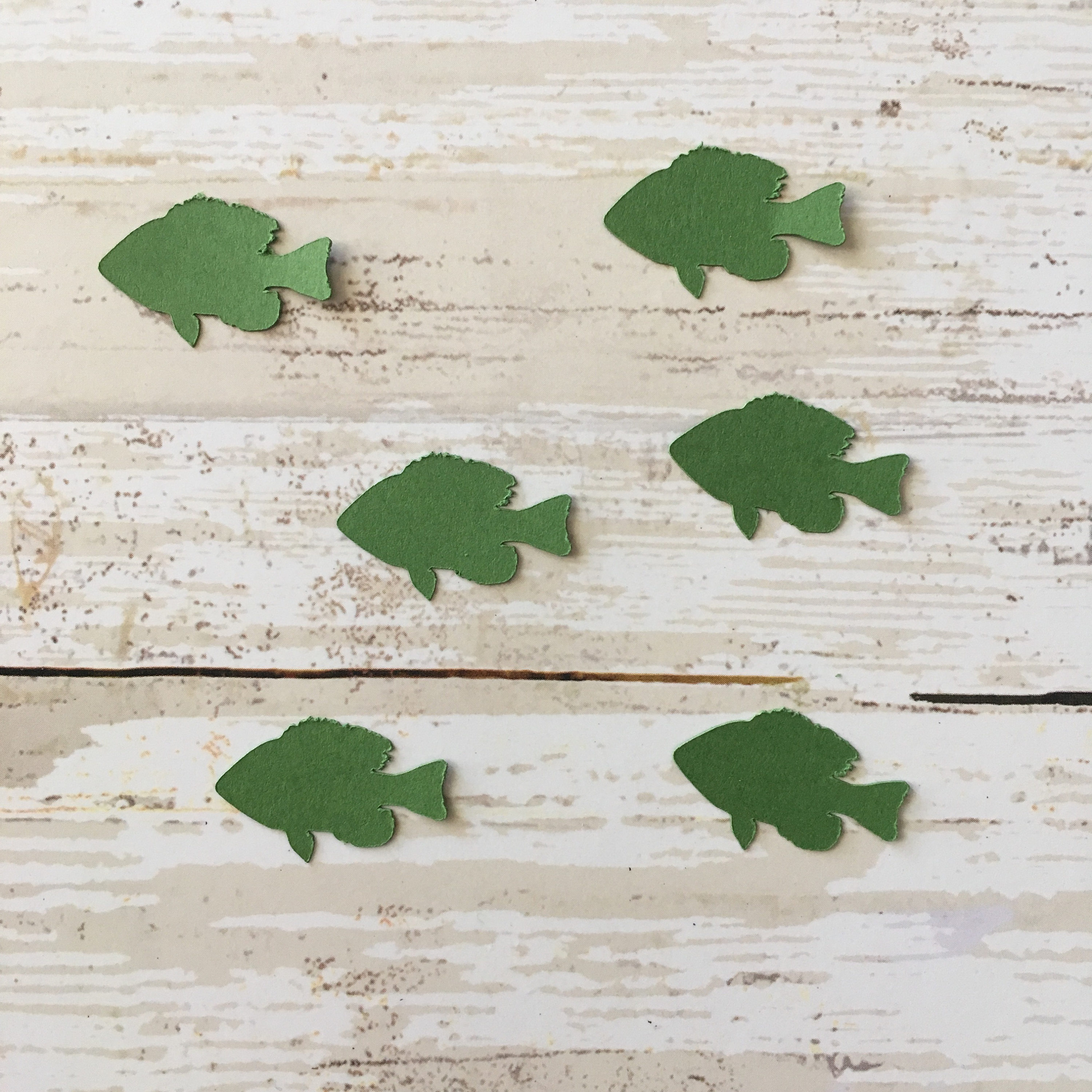 Bluegill Confetti | Bluegill Cut Out | Fish Confetti | Fish Cut Out ...