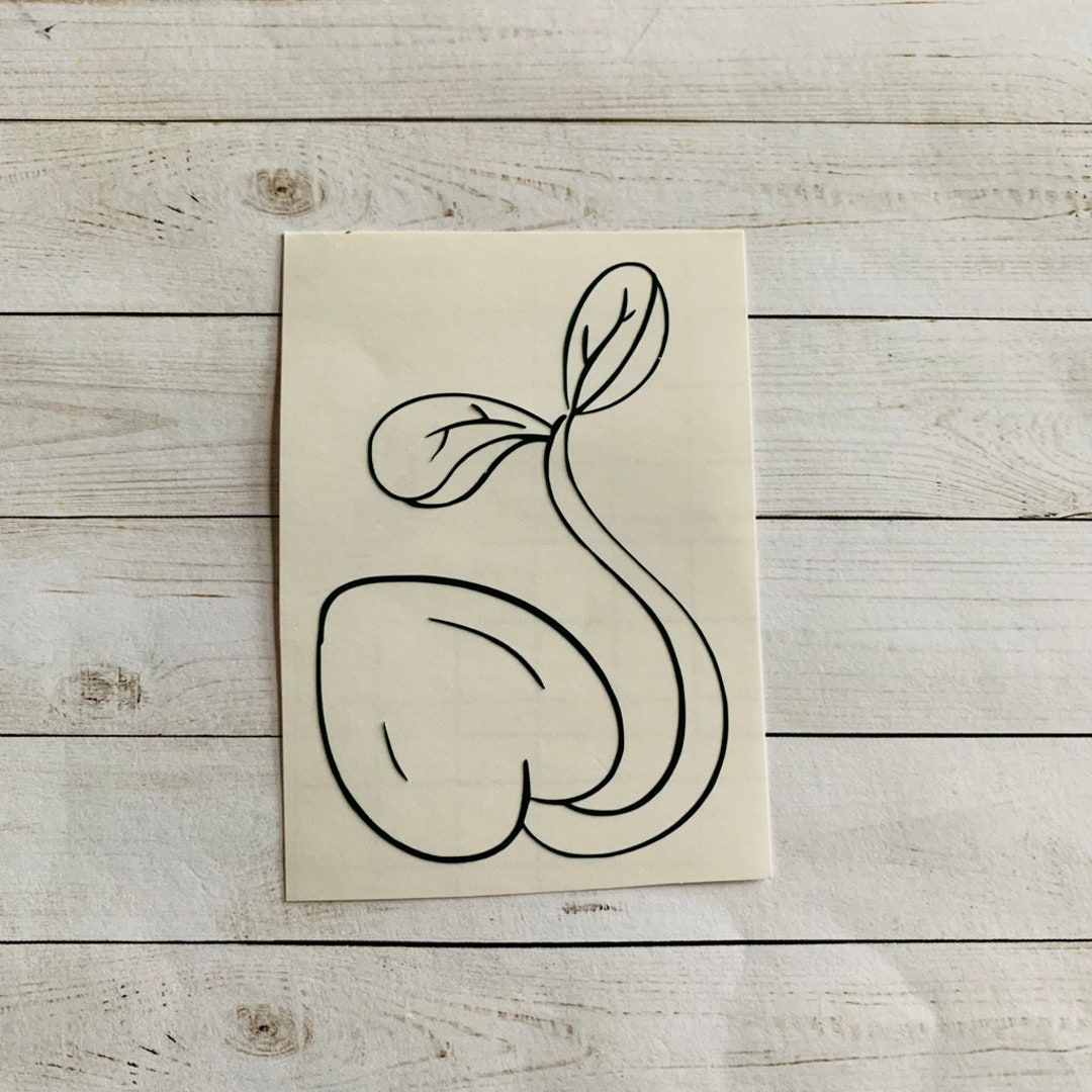 Seed Decal | Seed Vinyl Decal | Seed Sticker | Growth Decal | Spring ...