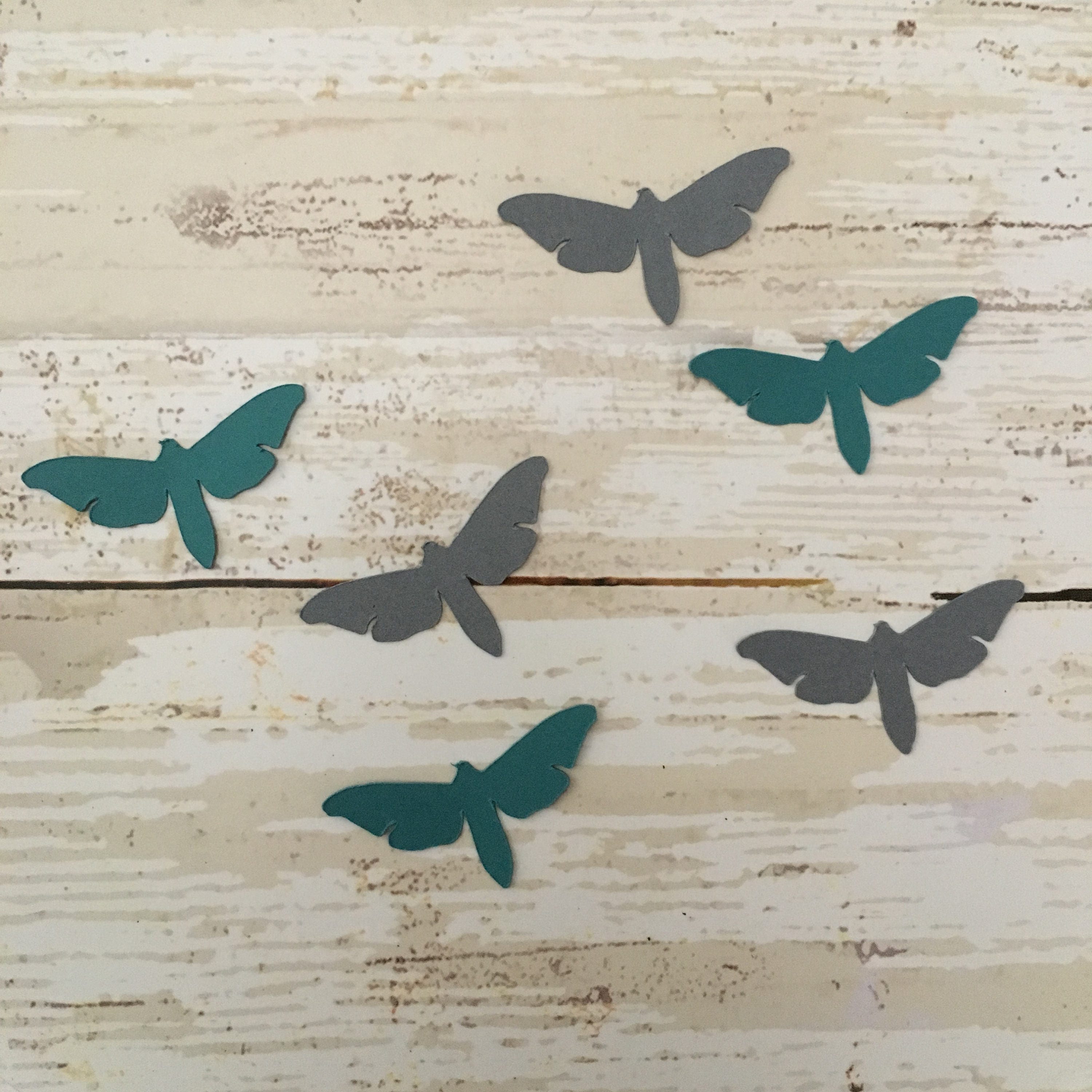 Moth Confetti Moth Cut Outs Moth Decoration Insect - Etsy