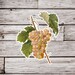 Grape Sticker, Berry Sticker, Fruit Sticker, Botanical Sticker, Natural ...