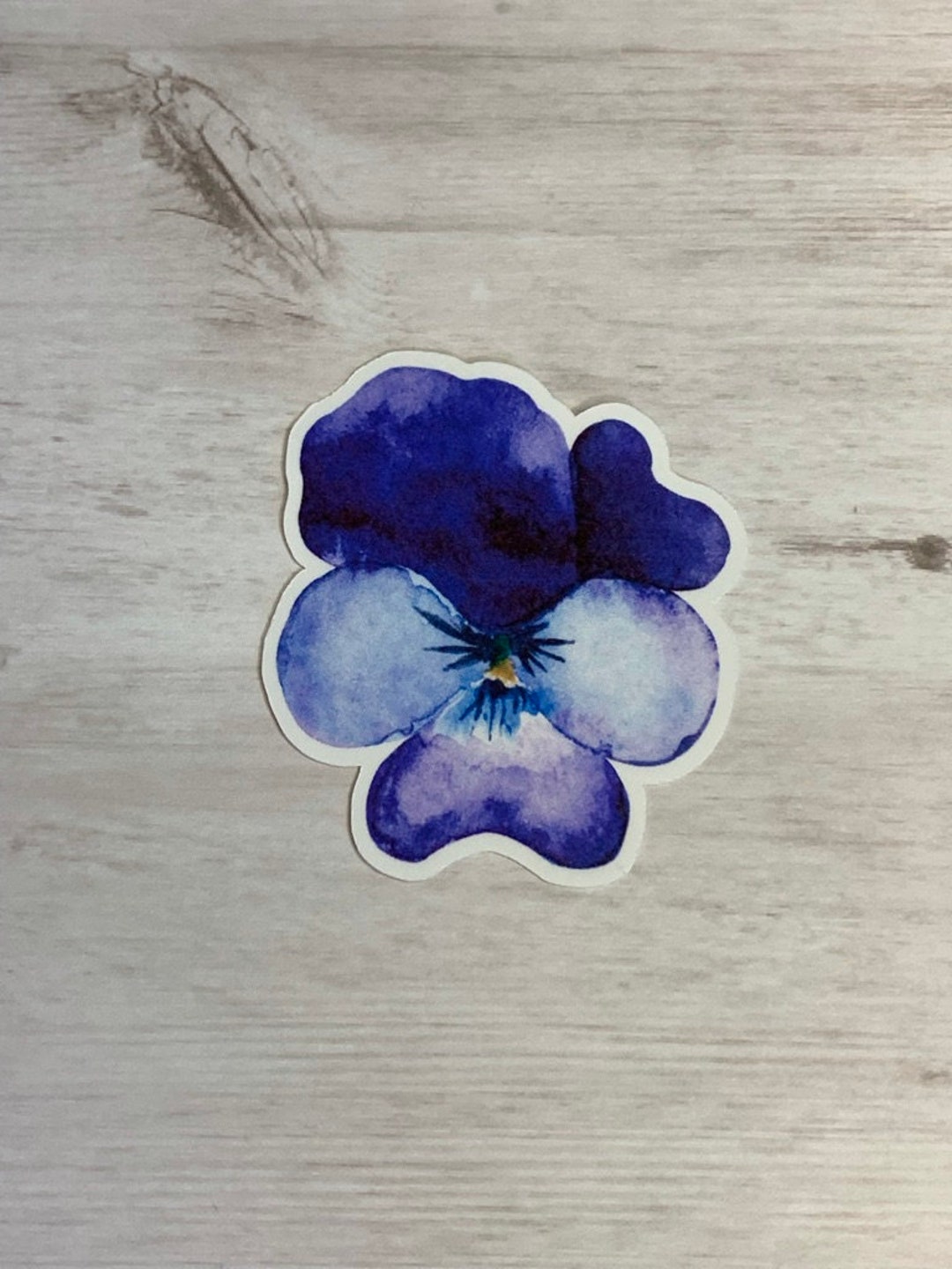 Violet Sticker or Magnet Violet Sticker Violet Magnet Pansy - Etsy