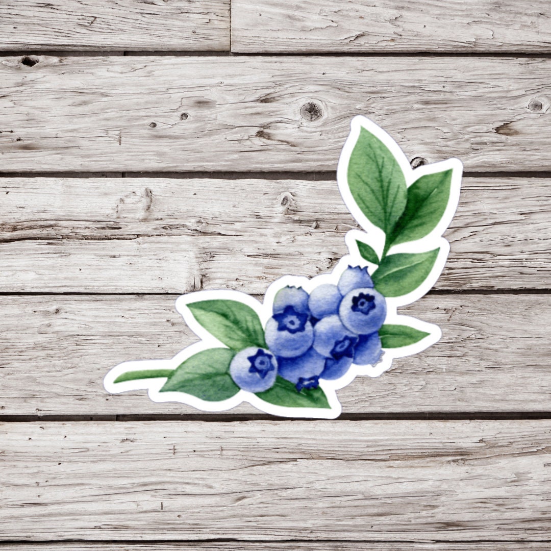 Blueberry Sticker, Berry Sticker, Fruit Sticker, Plant Sticker, Garden ...