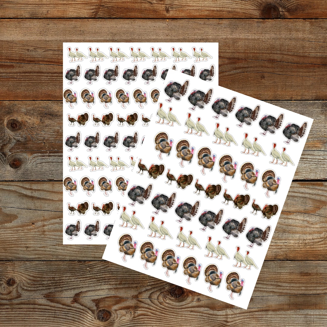 Turkey Sticker Sheet, Wild Turkey Sticker Sheet, 8.5x11" Sticker Sheet ...