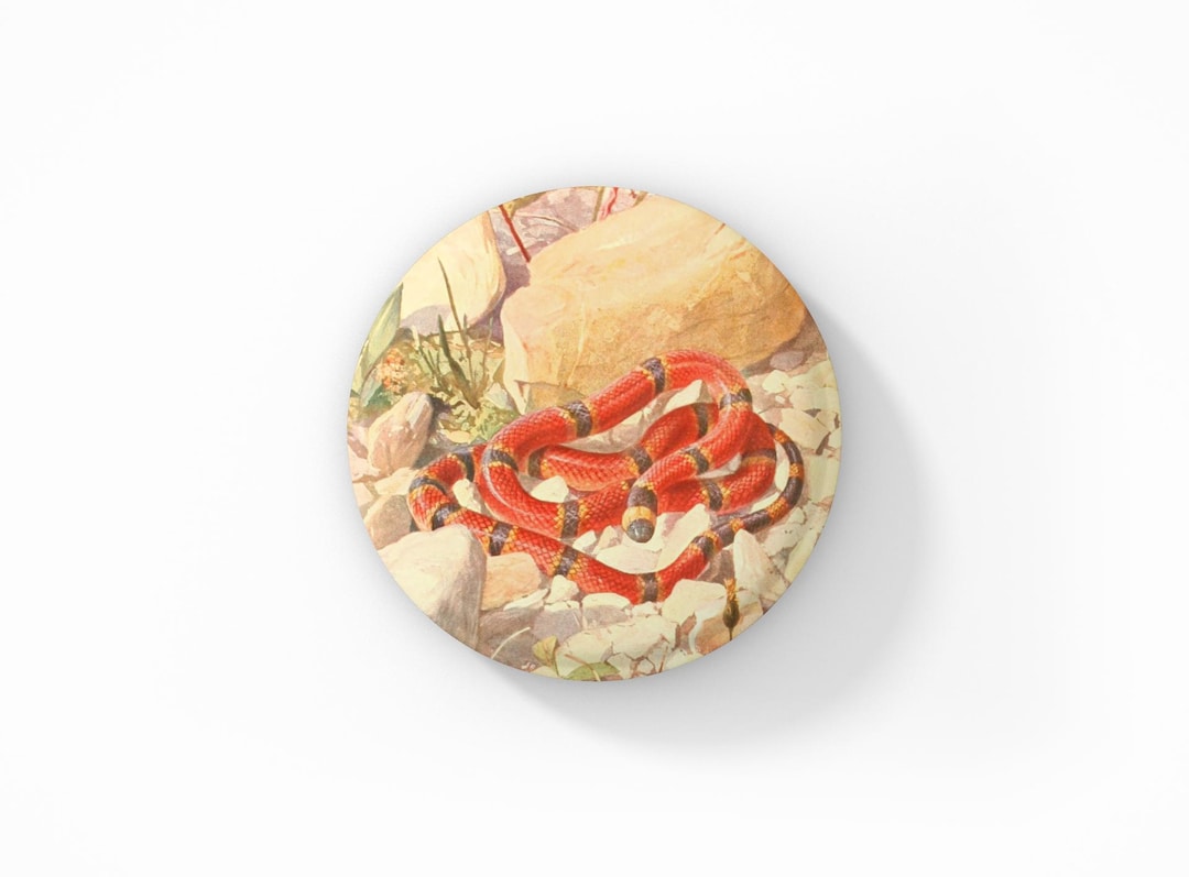 Snake Pin Button, Snake Keychain, Snake Magnet, Wildlife Pin, Nature ...