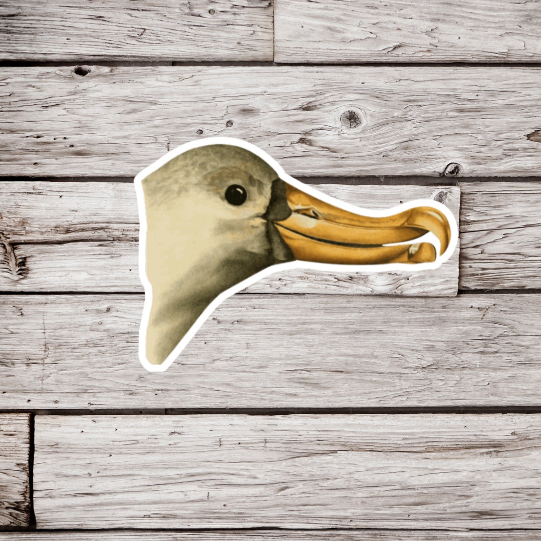Seagull Sticker or Magnet, Seagull Sticker, Seagull Magnet, Gull ...