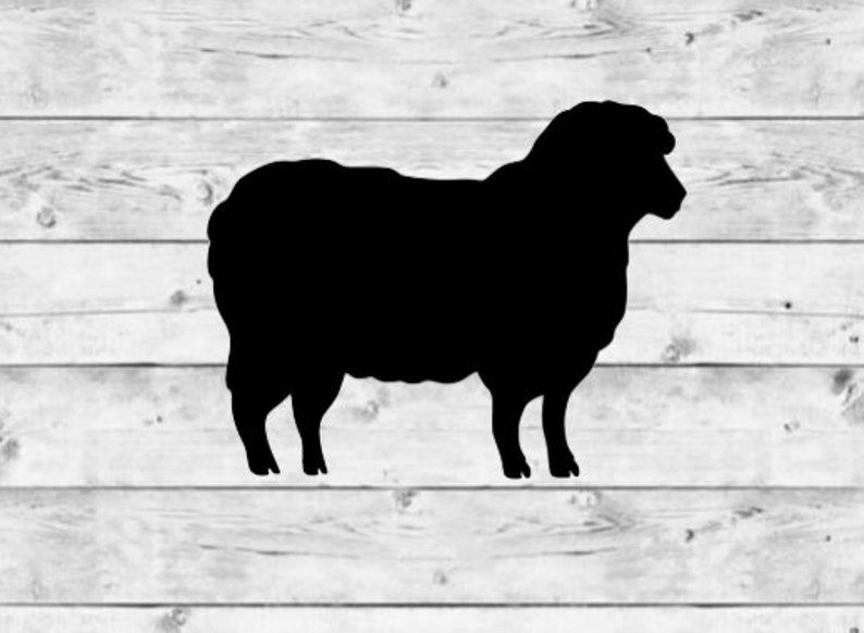 Sheep Sticker Sheep Decal Sheep Decoration Lamb Decal - Etsy