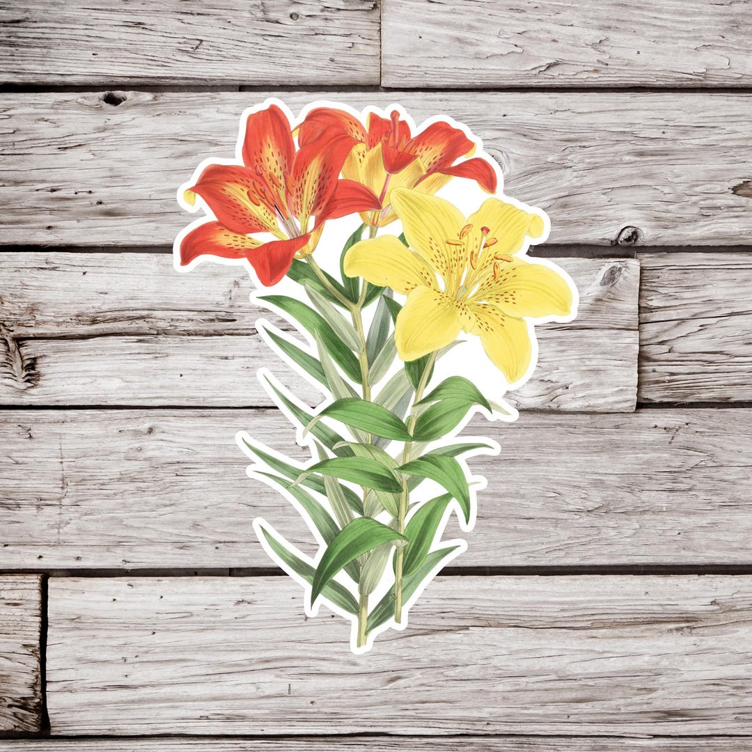 Lily Flower Sticker, Vintage Flower Sticker, Flower Sticker, Garden ...